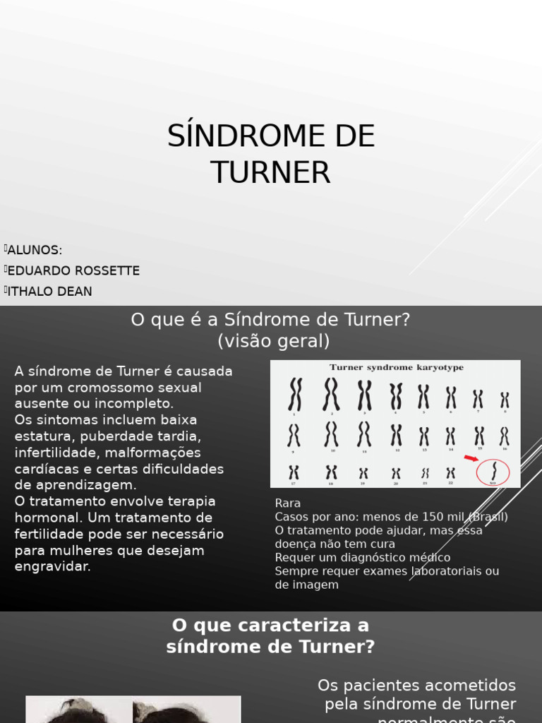 Apresentação Eduardo Rossette | PDF