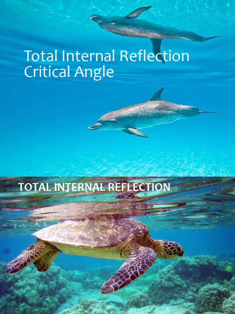Total Internal Reflection Explained | PDF | Reflection (Physics ...