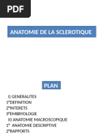 Anatomie de La Sclerotique | PDF | Cornée | Œil humain