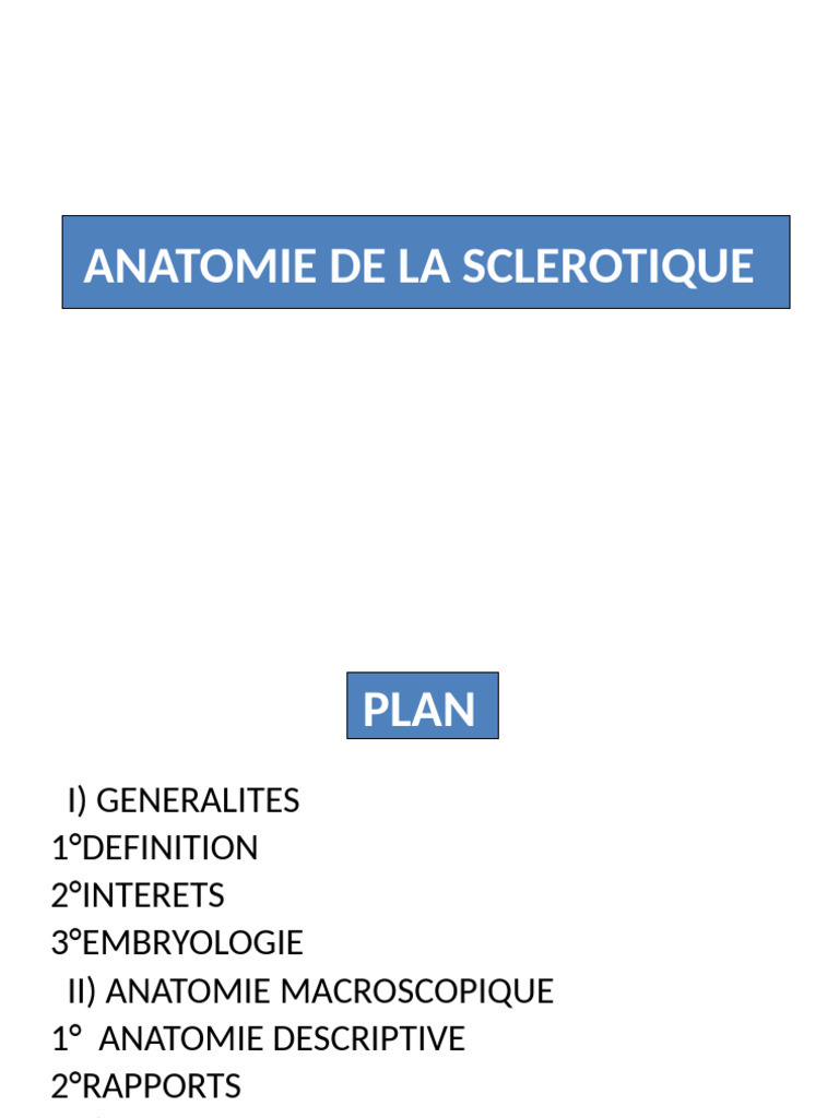 Anatomie et fonctions de la sclère oculaire | PDF | Artère | Veine