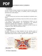 Anatomie de l'Angle Irido-Cornéen | PDF | Nerf | Anatomie