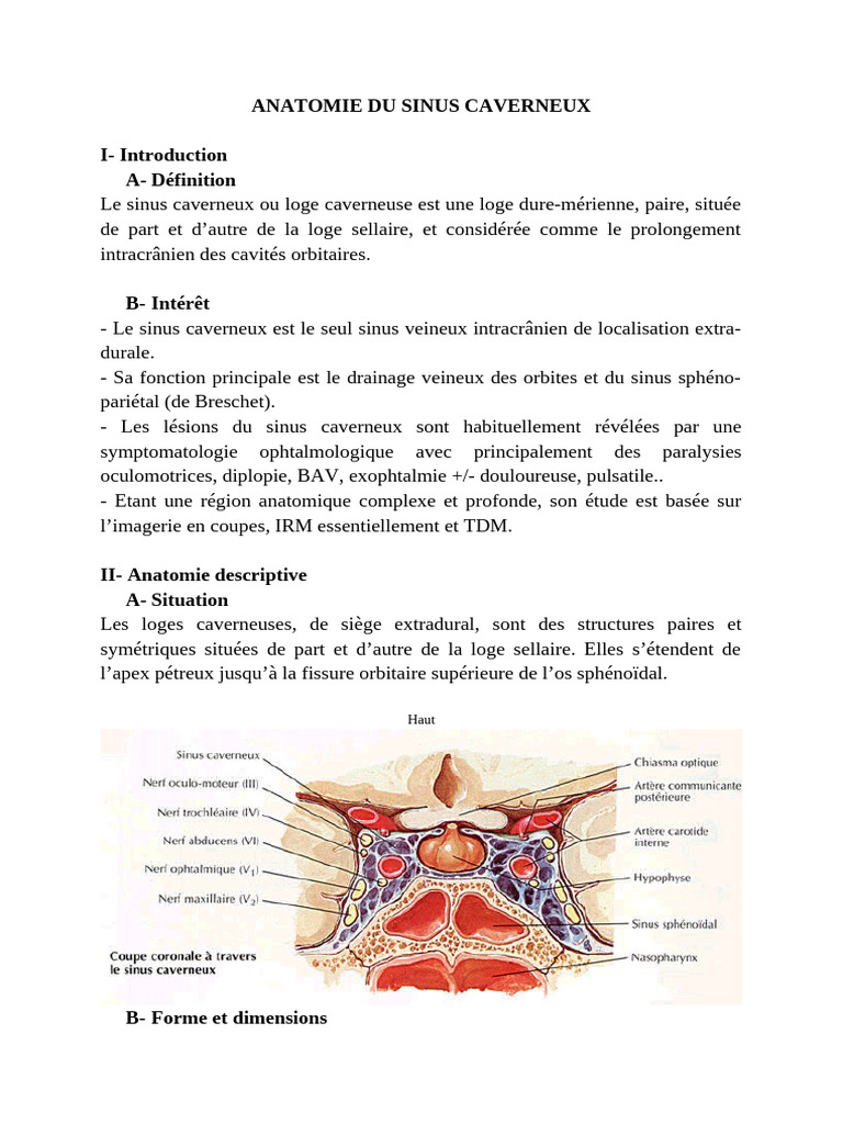Anatomie des Sinus Caverneux | PDF | Anatomie humaine | Tête et cou ...
