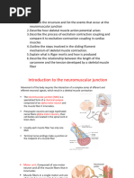 Steps of the Cross Bridge Cycle | PDF | Muscle Contraction ...