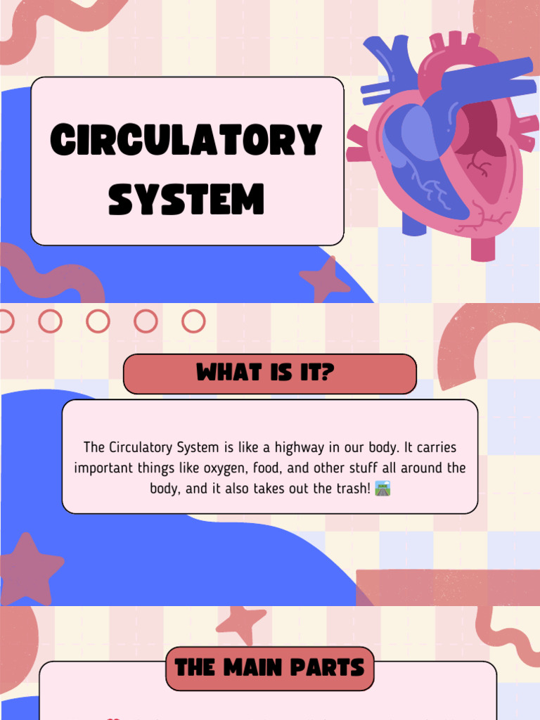 Understanding the Circulatory System | PDF