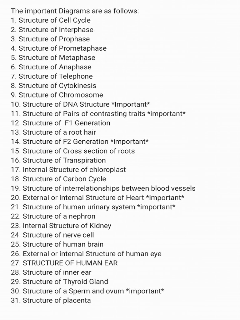 Biology Important Diagrams | PDF