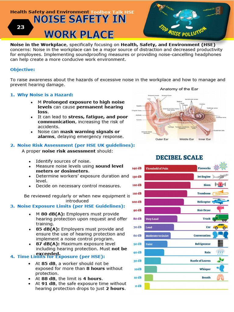 Workplace Noise Safety Guidelines | PDF | Noise | Hearing Loss