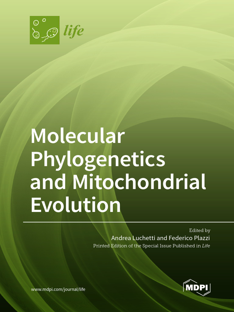 Molecular Phylogenetics and Mitochondrial Evolution | PDF | Mitochondrial Dna | Genome