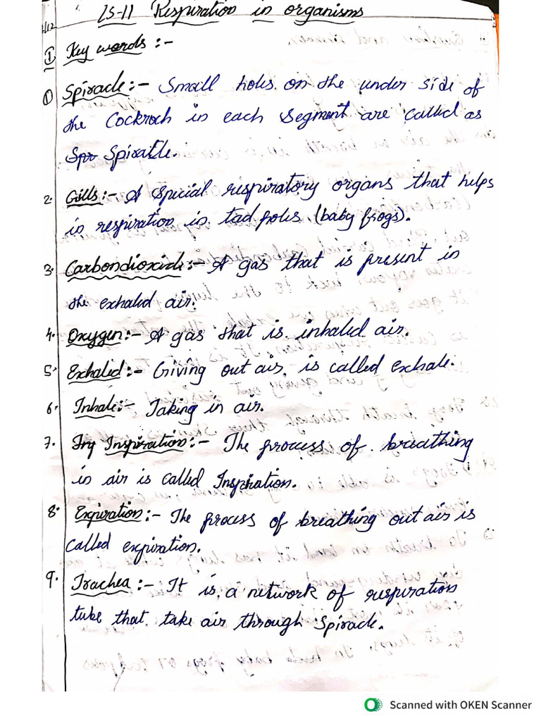 Science 11th Lesson | PDF