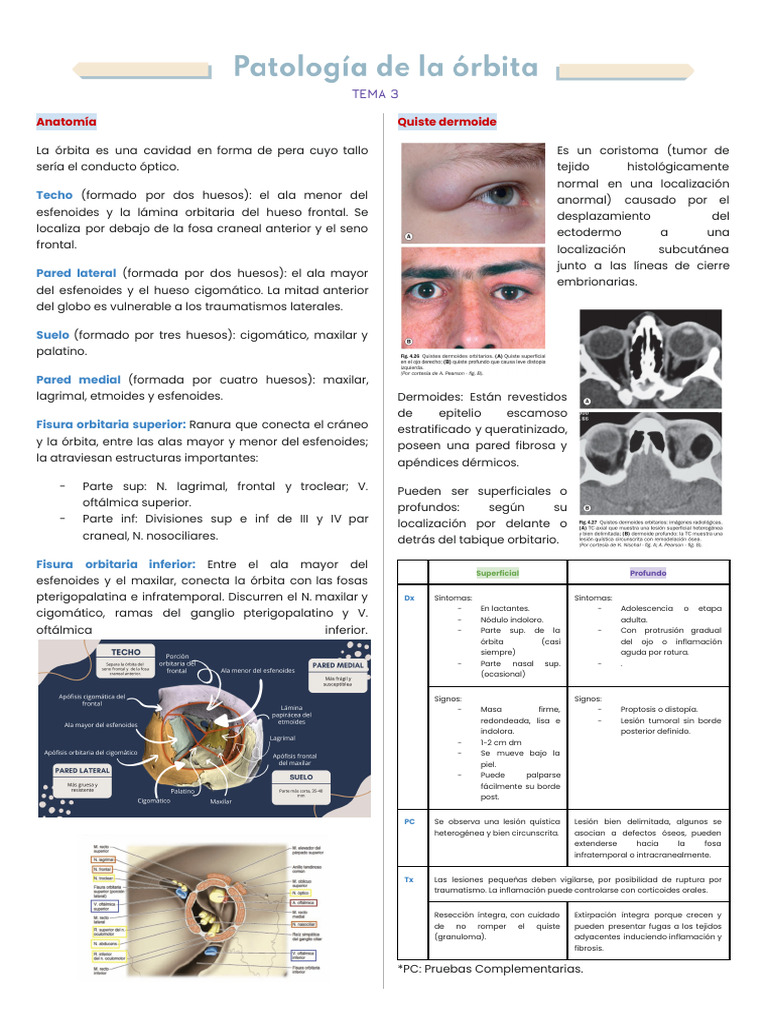 Oftalmo | PDF | Hipertiroidismo | Especialidades Medicas