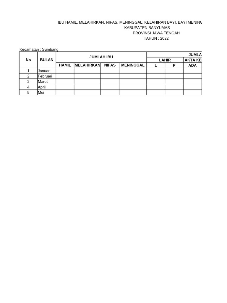 Contoh Format Rekapitulasi Data Ibu Hamil | PDF