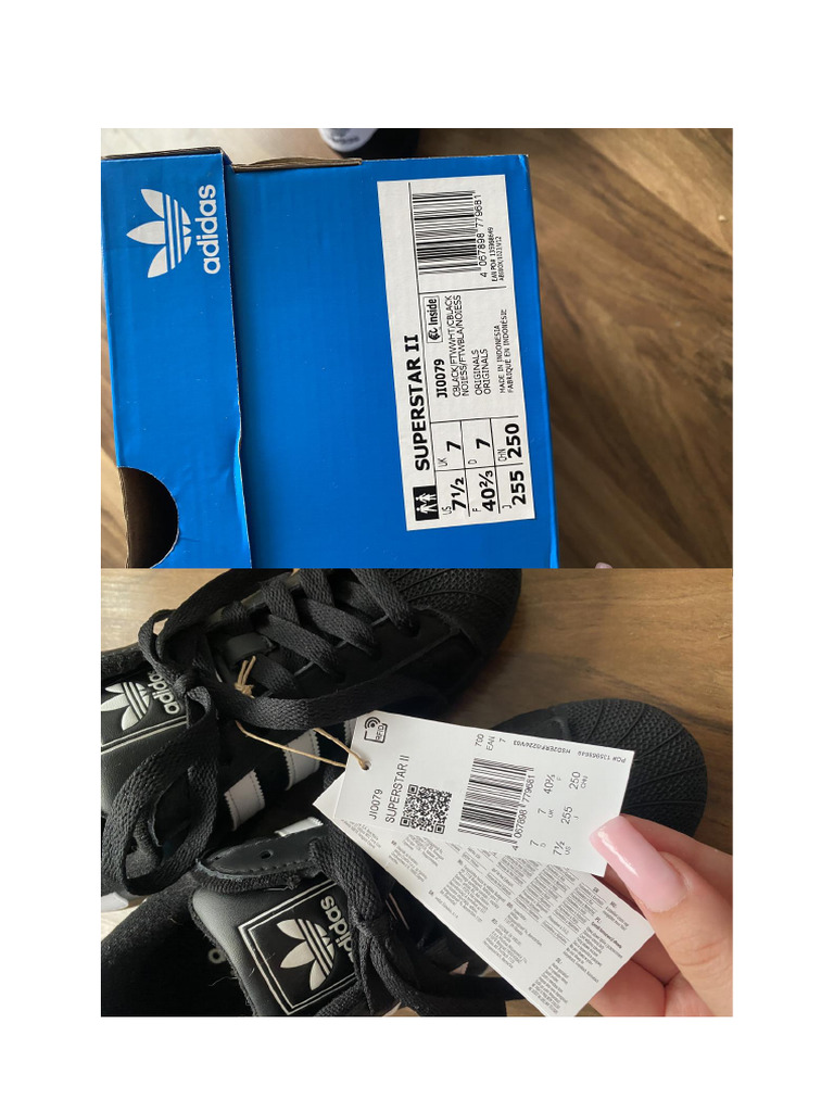 Adidas | PDF