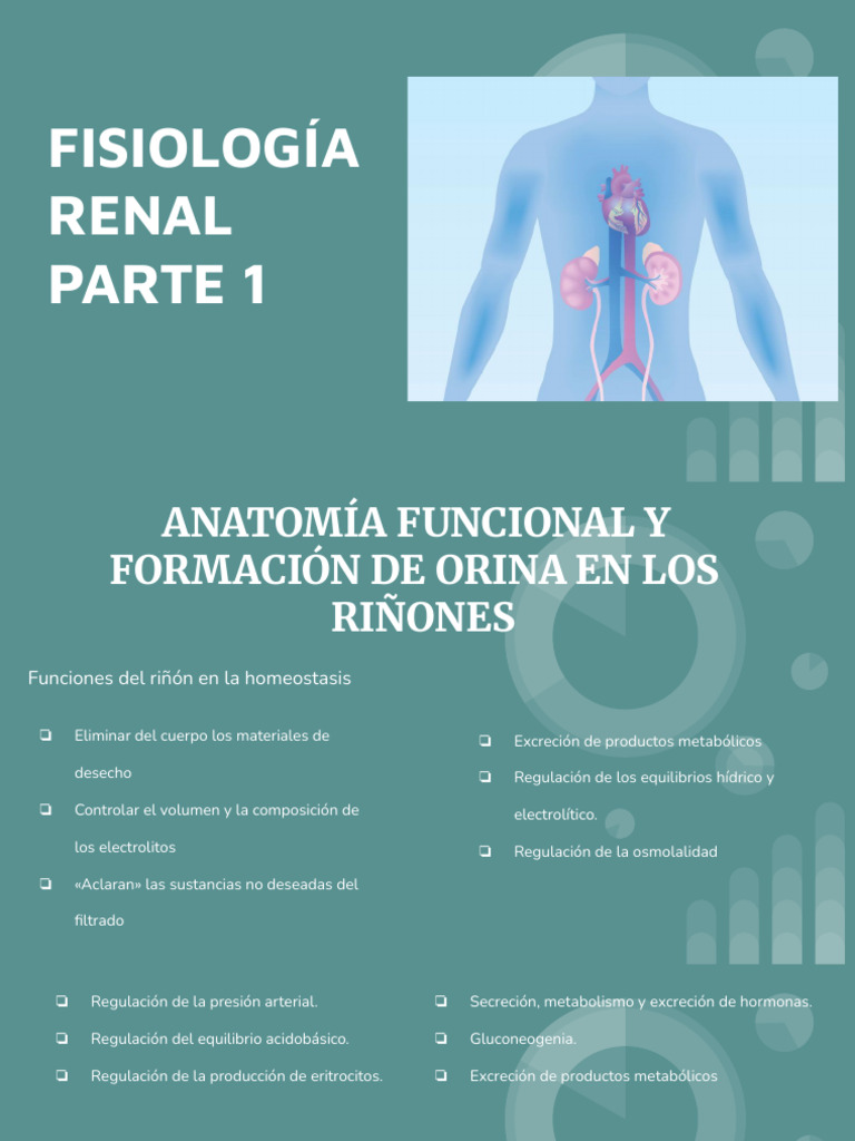 Presentación Sin Título | PDF | Riñón | Angiotensina
