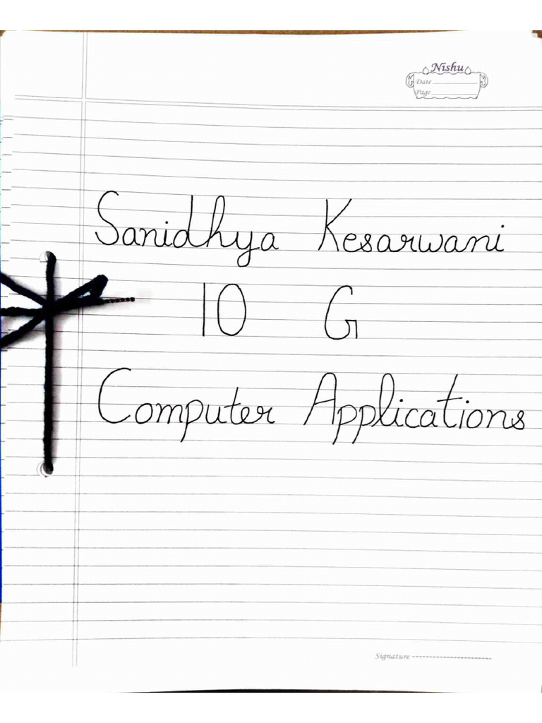 Computer Assignment Class 10 | PDF