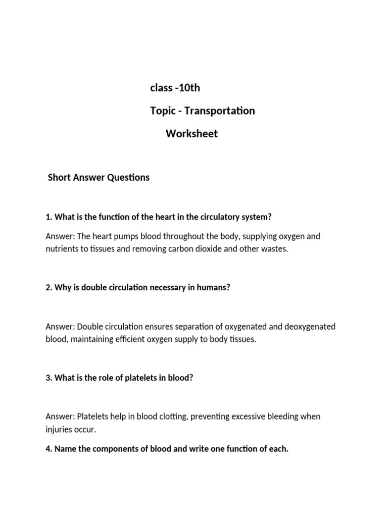 Class 10 Transportation Worksheet | PDF | Atrium (Heart) | Circulatory ...