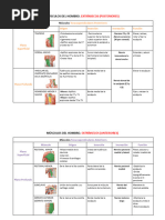 Anatomía del Cúbito: Estructura y Función | PDF | Codo | Extremidades ...