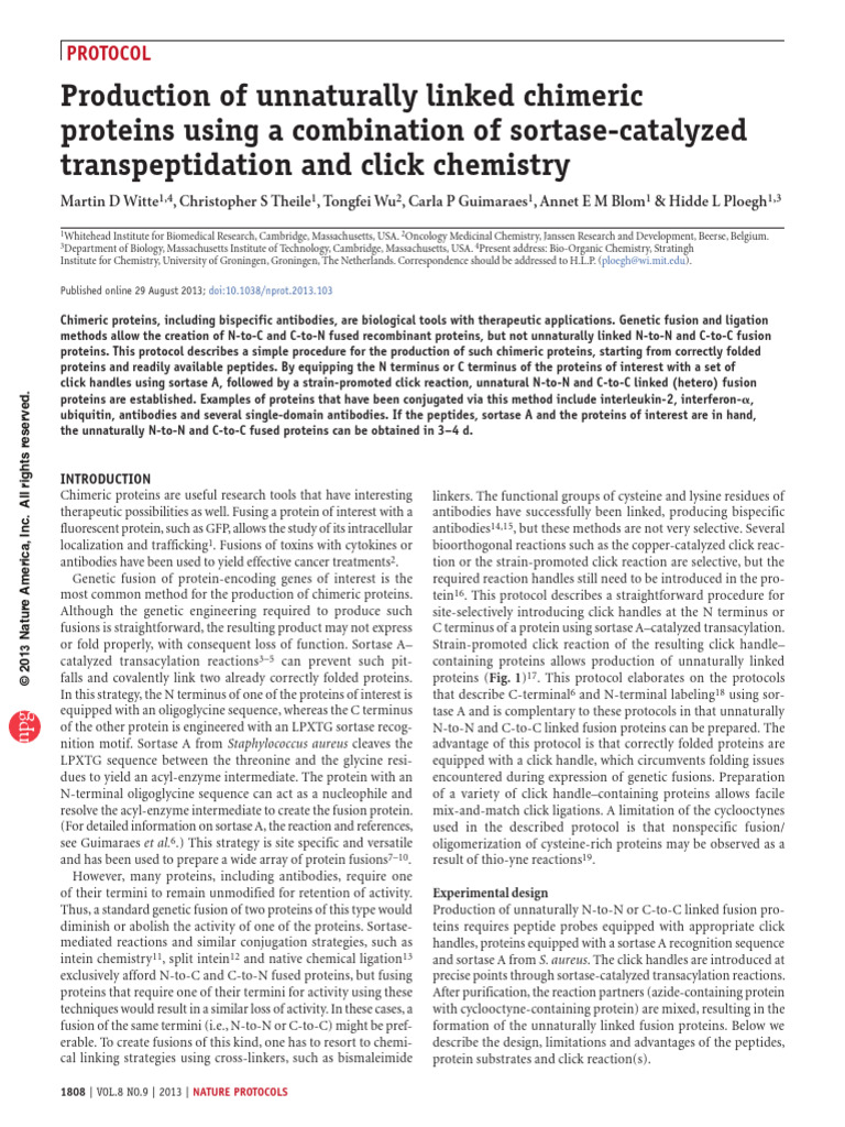 2013-08 NAT - PROT Production of Unnaturally Linked Chimeric Proteins ...