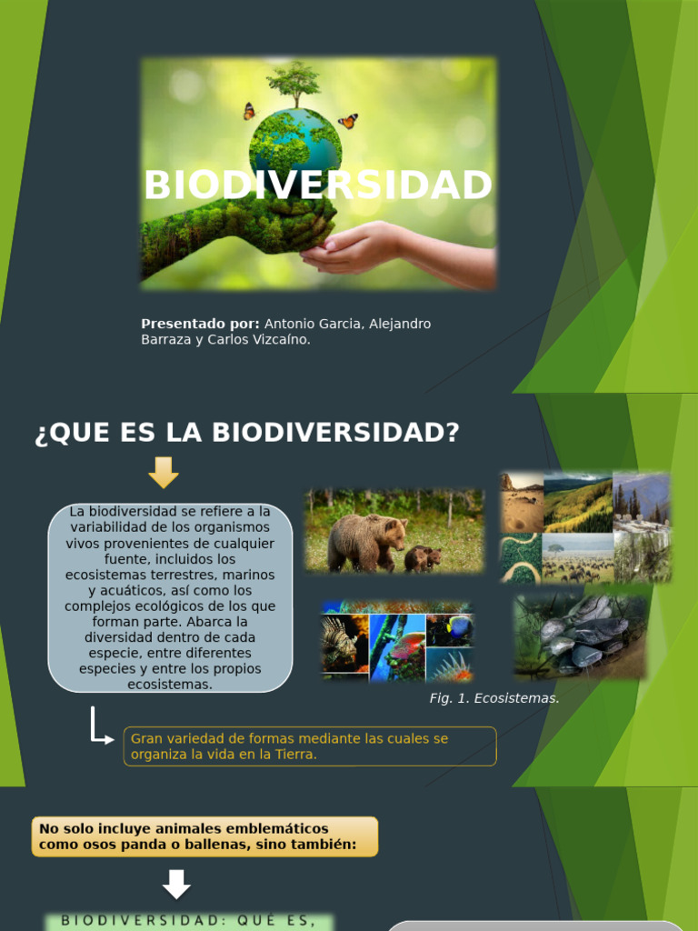 Bio Divers I Dad | PDF | Biodiversidad | Ecología