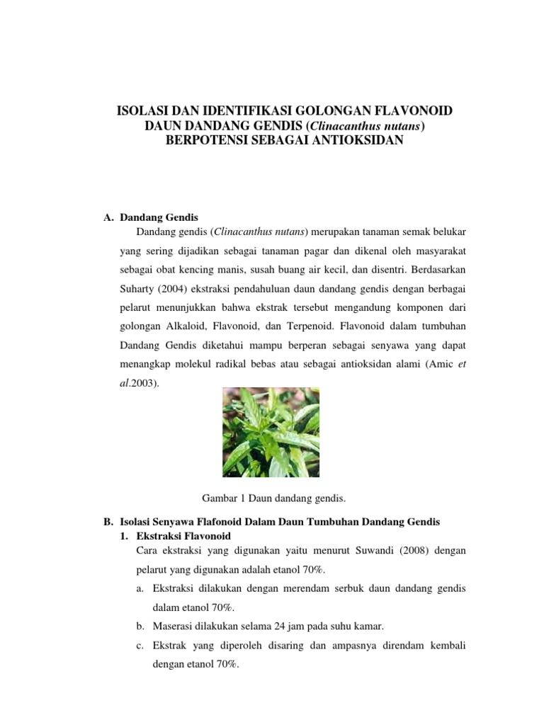 Isolasi Dan Identifikasi Golongan Flavonoid | PDF