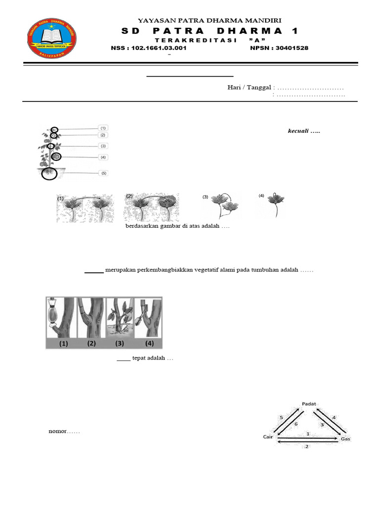 Ipas Try Out Bimbel 1 | PDF