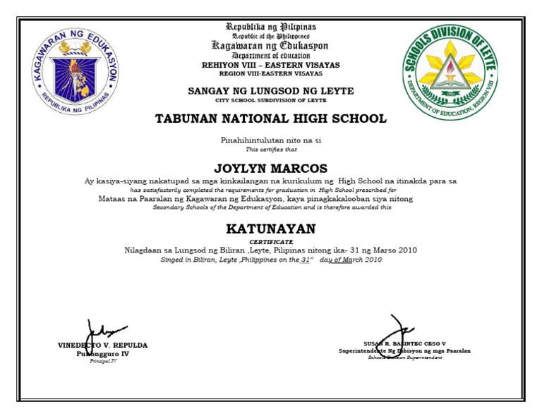 Jayson Villones | PDF