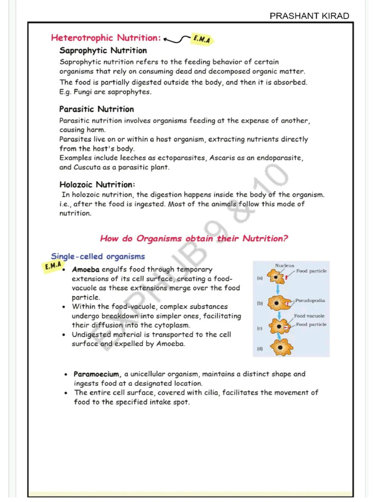 Biology | PDF