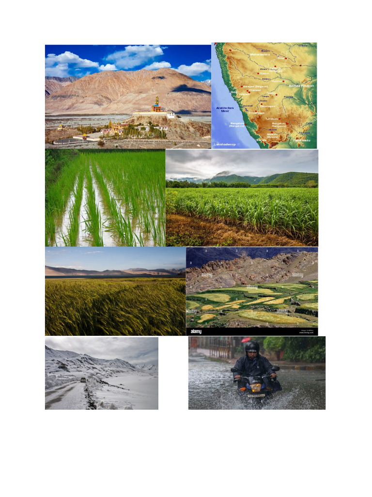 Class 10 Eng Project Pictures | PDF