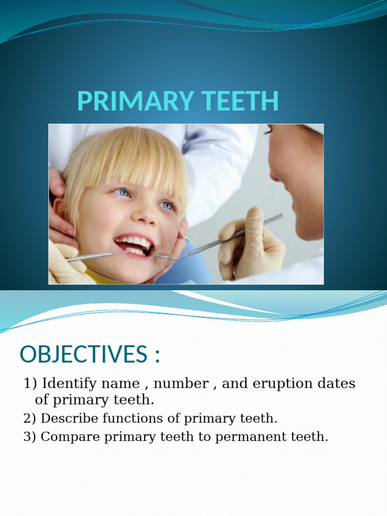 Anatomy and Eruption of Primary Teeth | PDF | Dental Anatomy | Dentistry