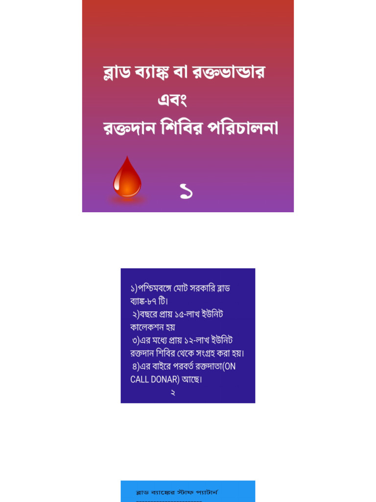 Presentation 2 | PDF