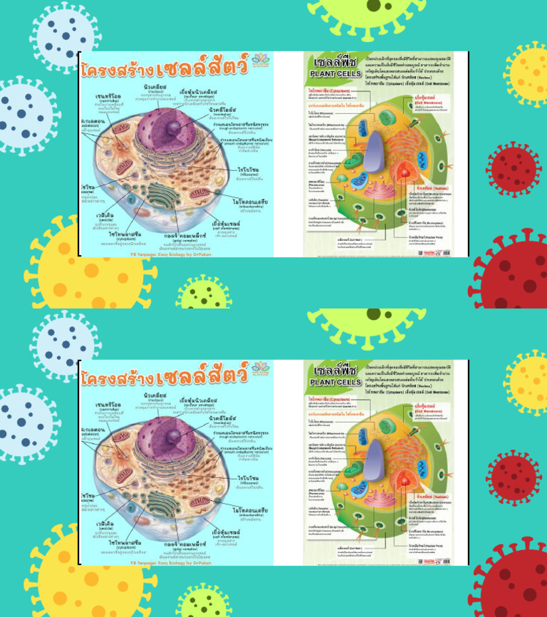 Biological Hazards Epidemics and Pandemics Science Presentation in ...