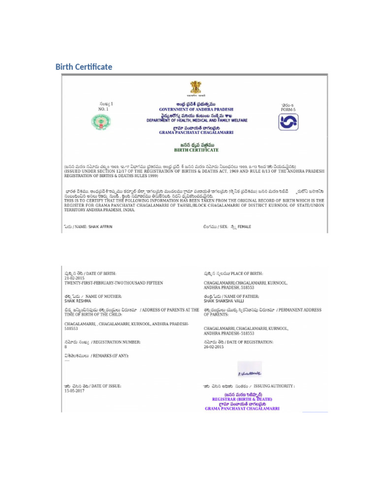 Birth Certificate | PDF