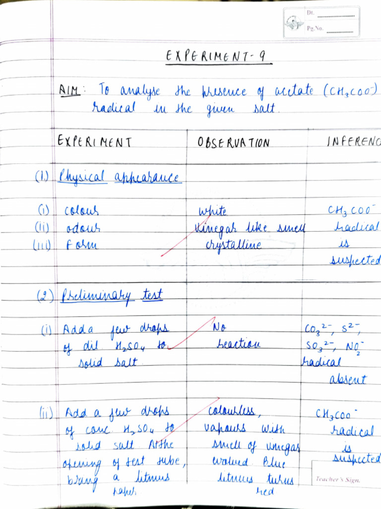 Shegual Experiment Analysis | PDF