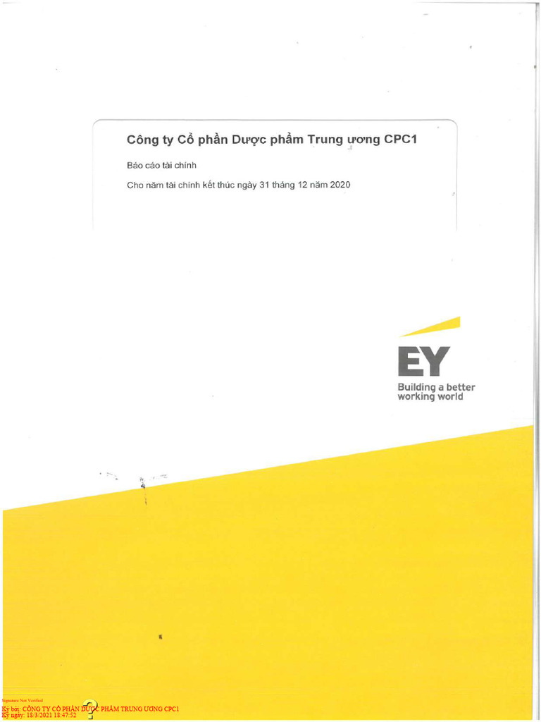 BCTC Năm 2020 | PDF