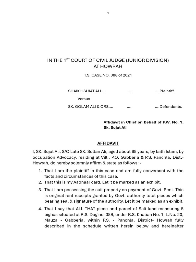 Affidavit in Chief On Behalf of PW1 Shaikh Sujat Ali | PDF | Property ...