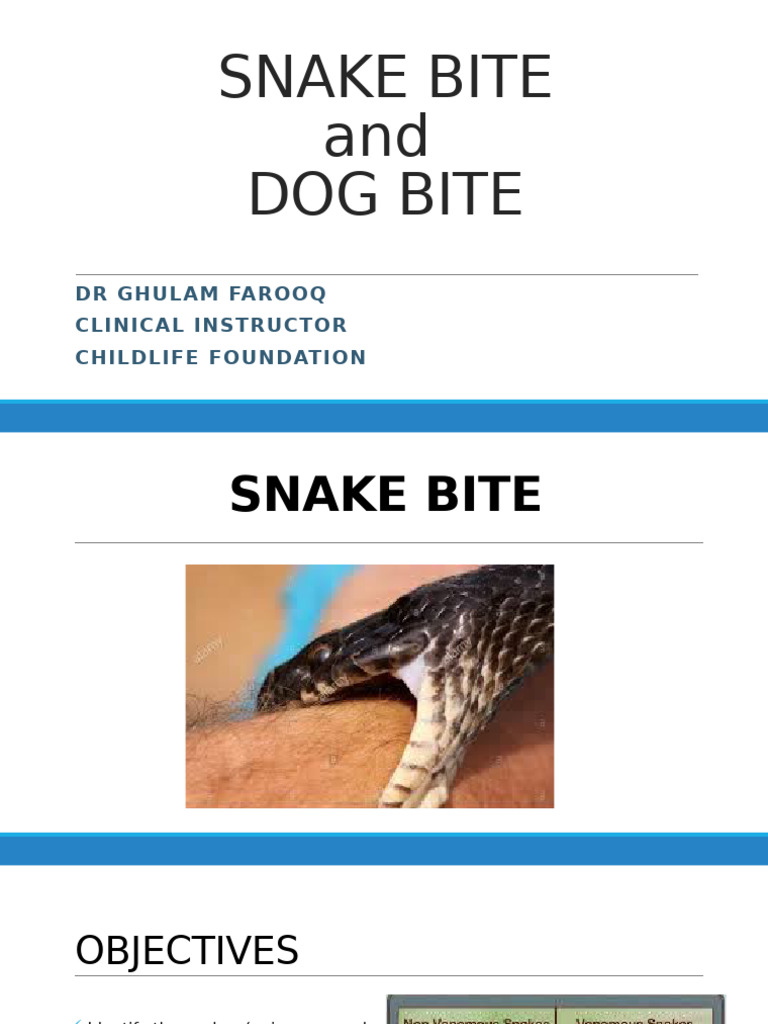 Snake and Dog Bite Final | PDF | Rabies | Snake