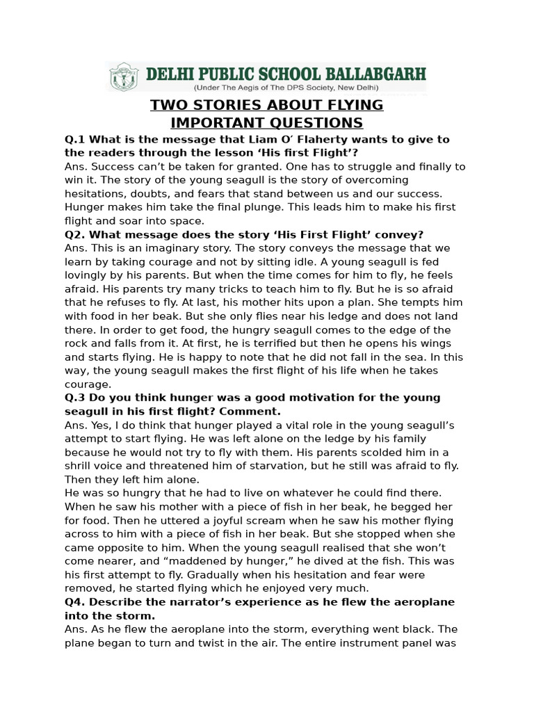 Lessons from Two Flying Stories | PDF