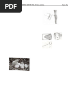 Bio F1 Rev - Sam Obare | PDF | Photosynthesis | Stoma