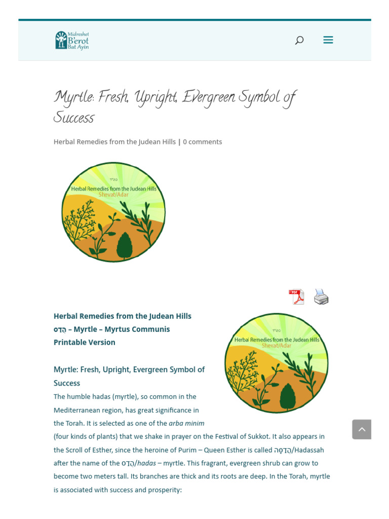 Myrtle - Fresh, Upright, Evergreen Symbol of Success - Midreshet B'Erot ...