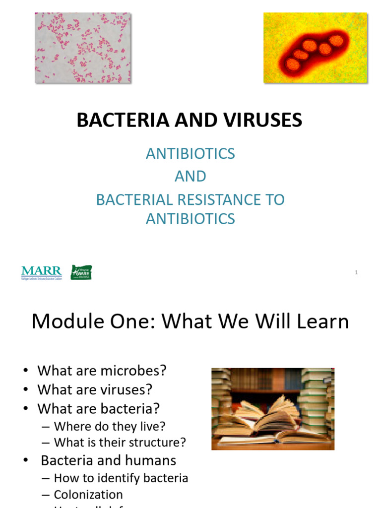 High School Module One Presentation | PDF | Virus | Bacteria