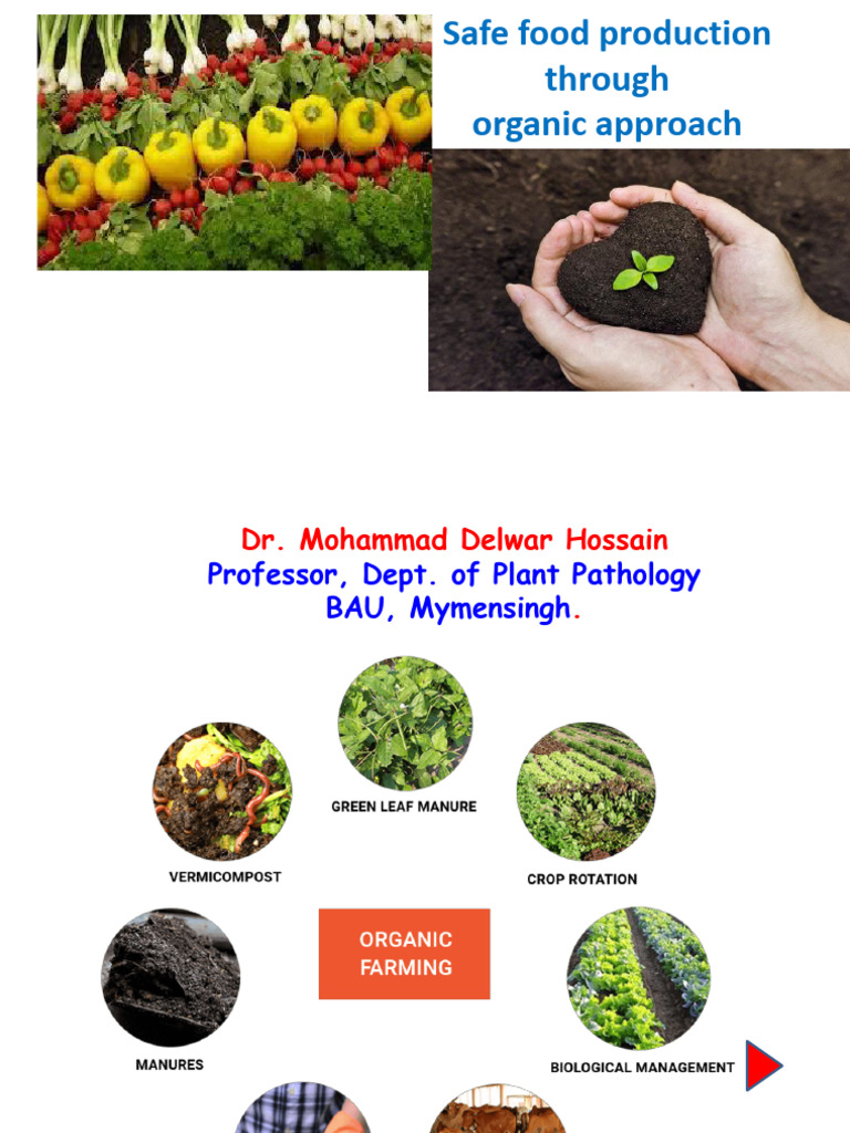 Organic Approaches to Safe Food Production | PDF