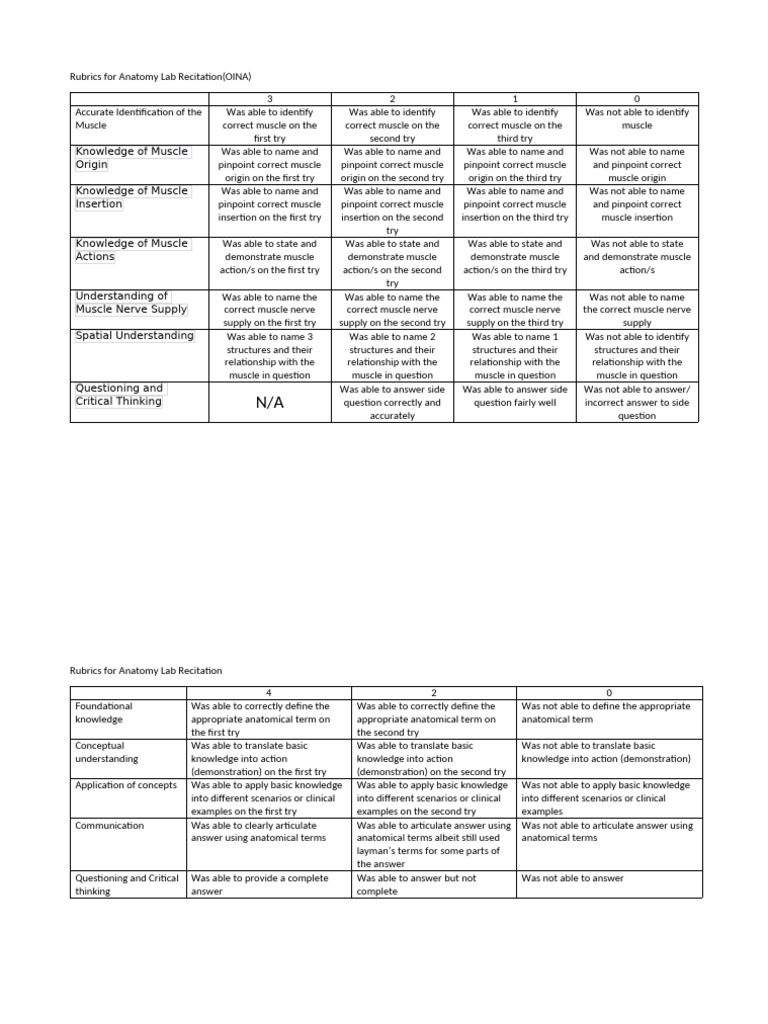 Rubrics for Anatomy Lab Recitation | PDF | Anatomy | Knowledge