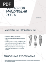 Morphology of Permanent Maxillary 3rd Molar | PDF | Dental Anatomy ...