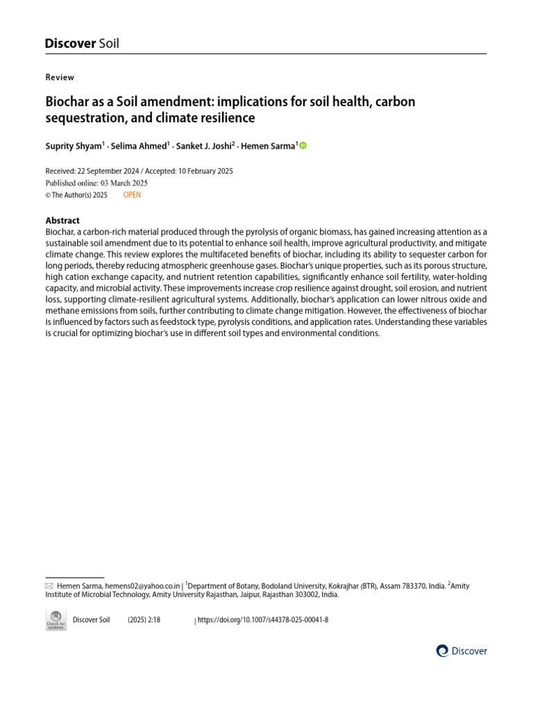 Replace Lehmann and Joseph in Role of Biochar | PDF | Pyrolysis | Soil
