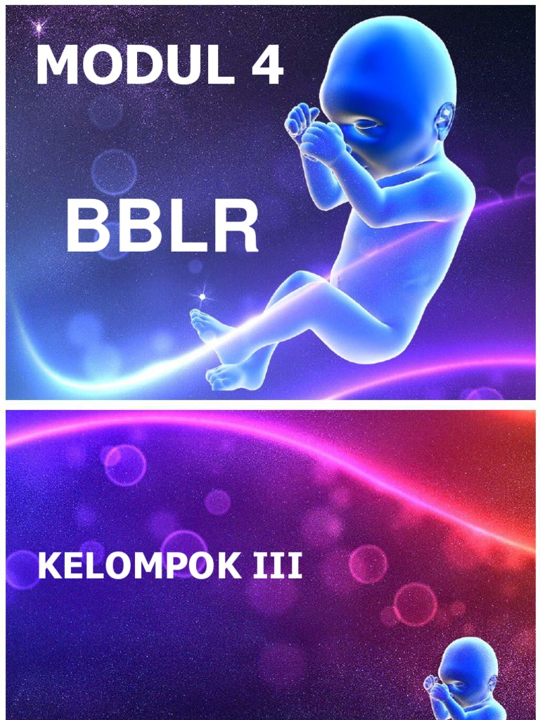 Modul 4 BBLR | PDF