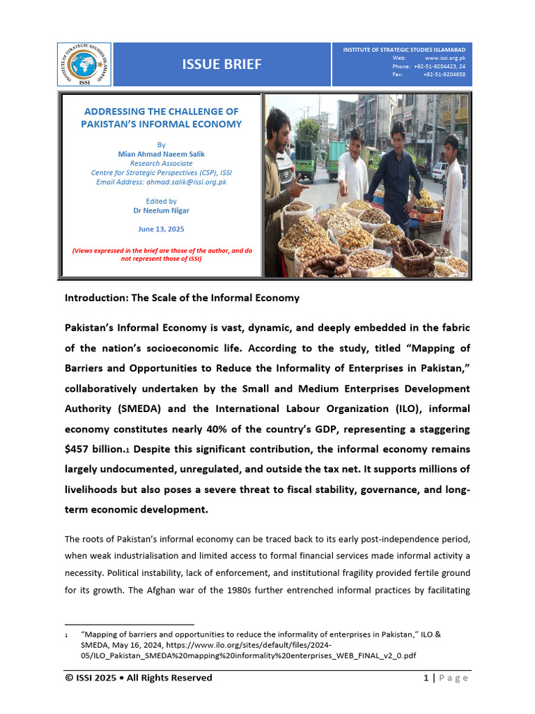 Addressing The Pakistan Informal Economy | PDF | Taxes | Financial ...