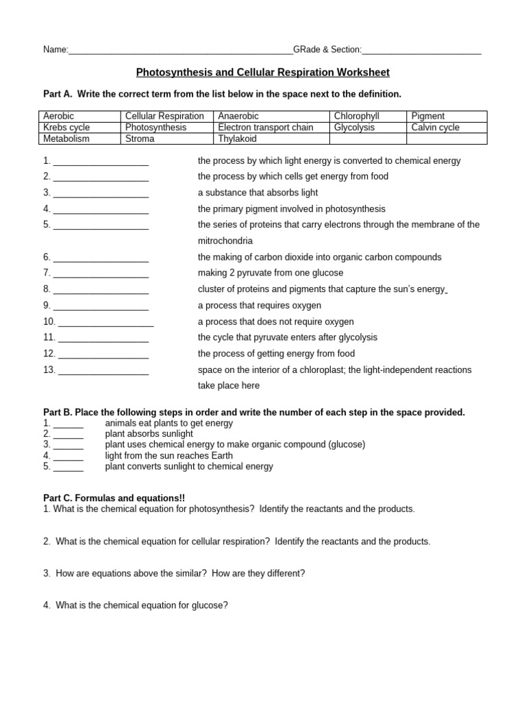 HANDOUT - Photosynthesis and Cellular Respiration Review Sheet 2017 ...