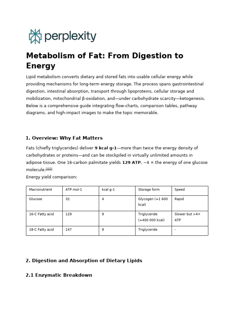 Metabolism of Fat From Digestion To Energy | PDF | Fat | Biochemistry