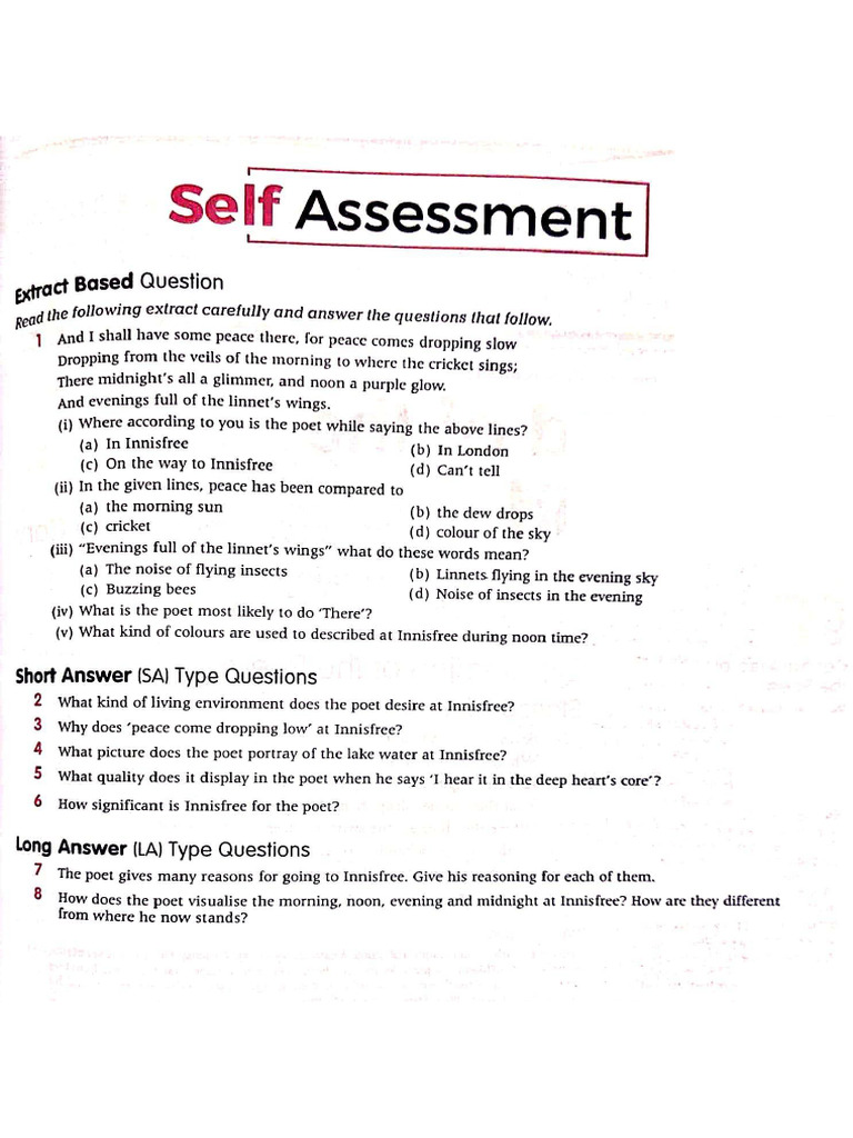Self Assessment | PDF
