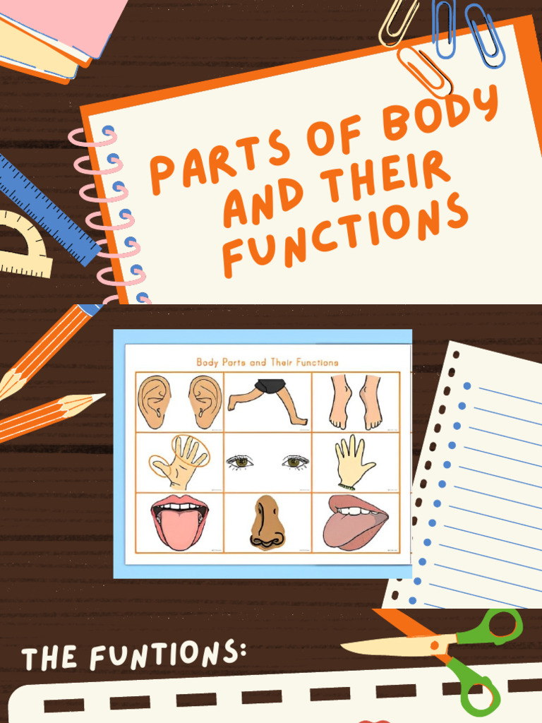 Body Parts and Their Functions | PDF