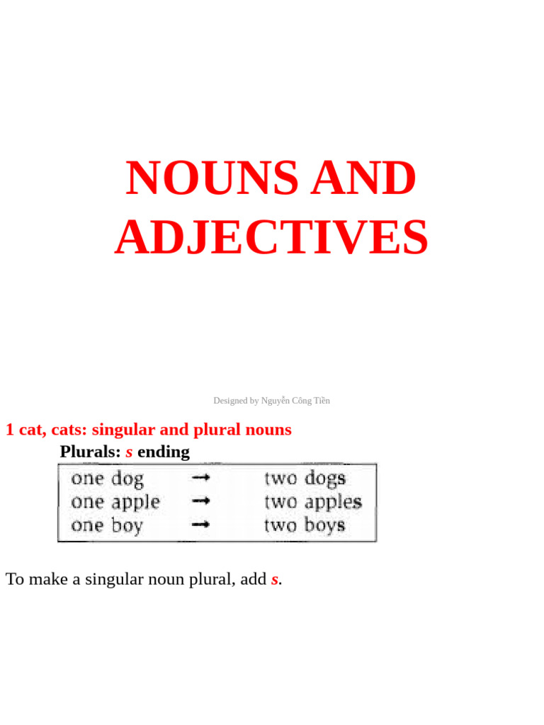 Nouns and Adjectives Practice Guide | PDF | Plural | Linguistics