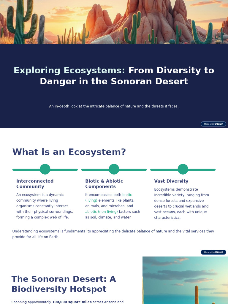 Exploring Ecosystems From Diversity To Danger in The Sonoran Desert ...